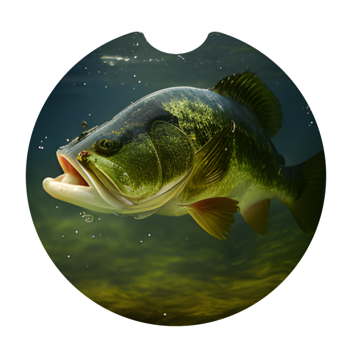 SHOP JLG for Fashion Apparel and Accessories at Discount Prices – Just ...